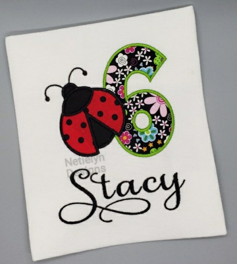 Ladybug 6 Year Old Birthday Shirt, Custom Design, Children, Machine ...