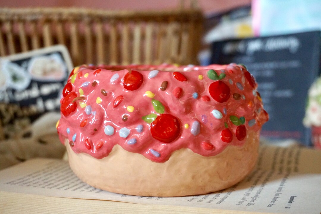 Donut Plant Pot, Strawberry Donut, Cute Gift, Dessert Planter, Cactus ...