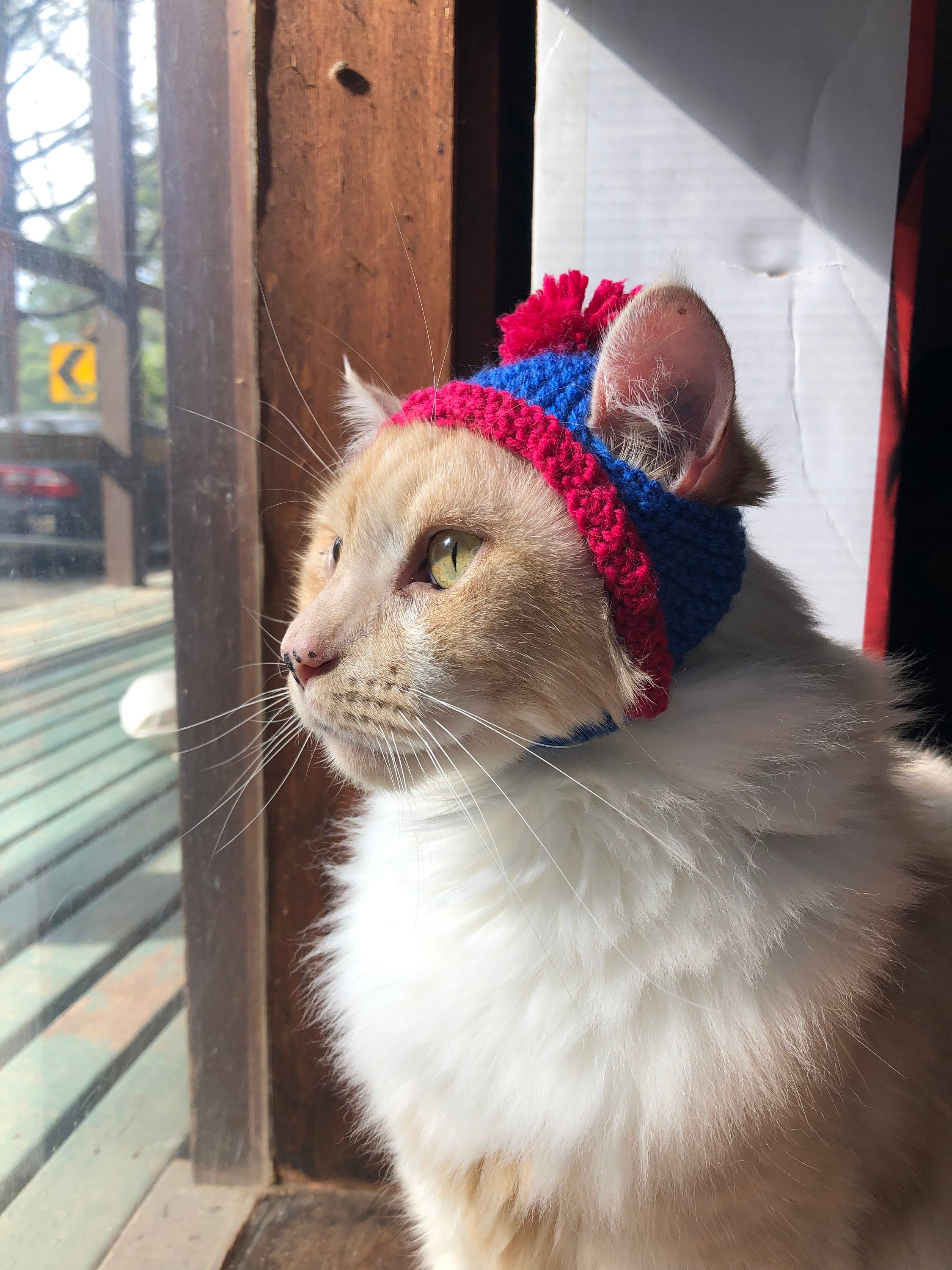 South Park Cat Hats Fan Art Cat Accessories Stan Kyle Cartman Kenny ...