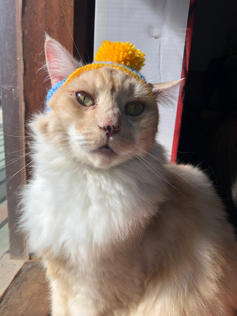 South Park Cat Hats Fan Art Cat Accessories Stan Kyle Cartman Kenny ...