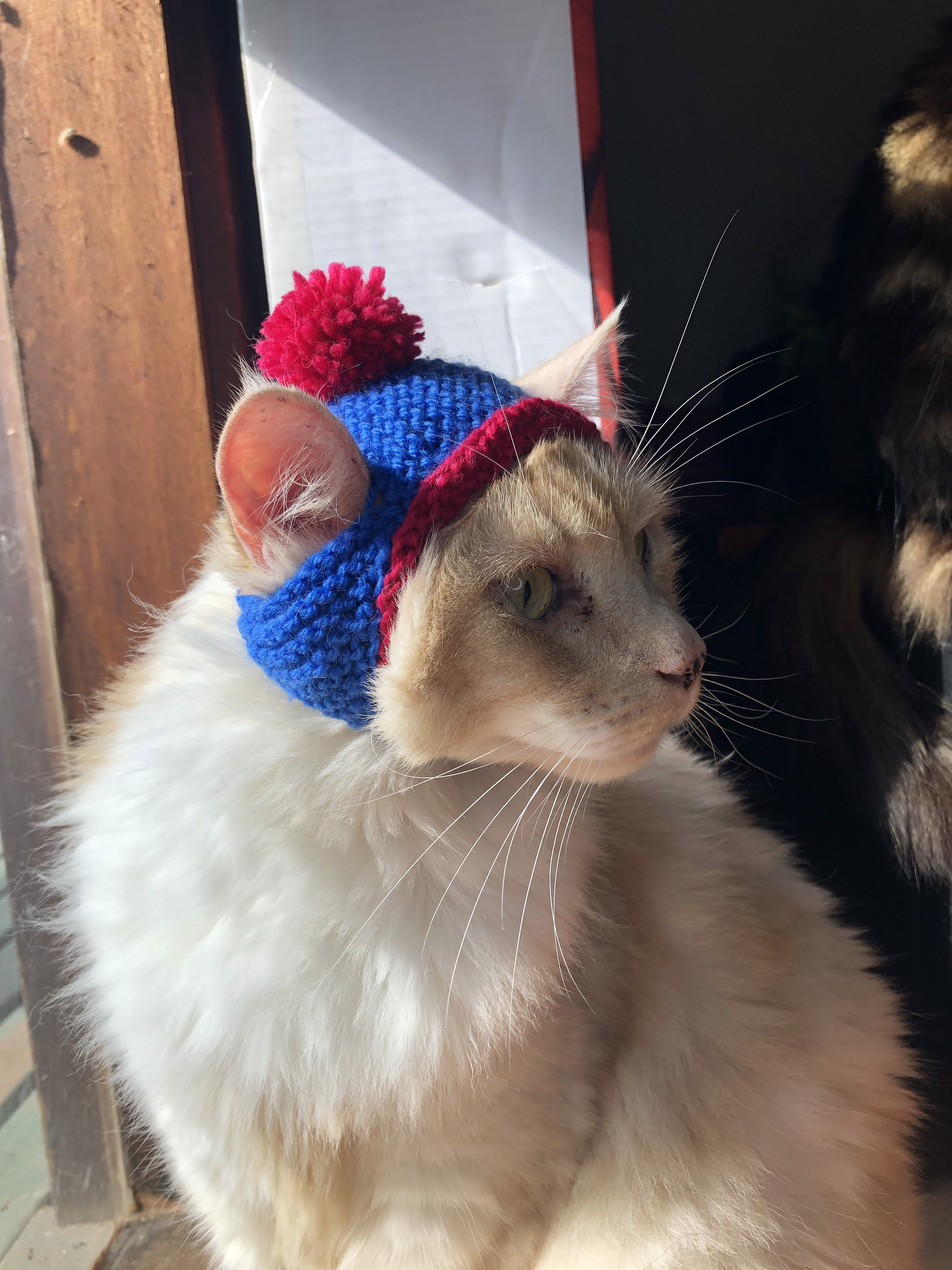 South Park Cat Hats Fan Art Cat Accessories Stan Kyle Cartman - Etsy ...