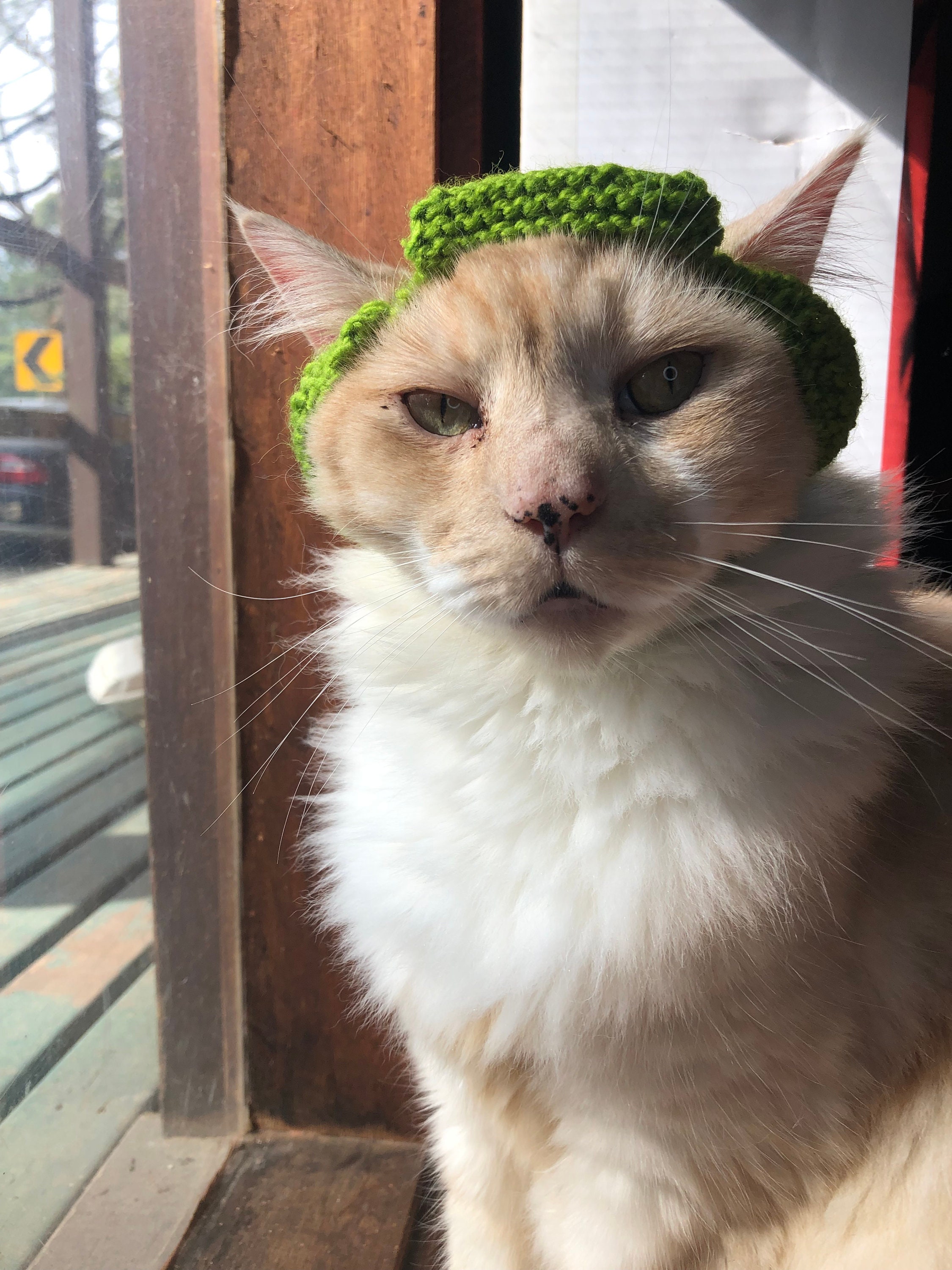 South Park Cat Hats Fan Art Cat Accessories Stan Kyle Cartman Kenny ...