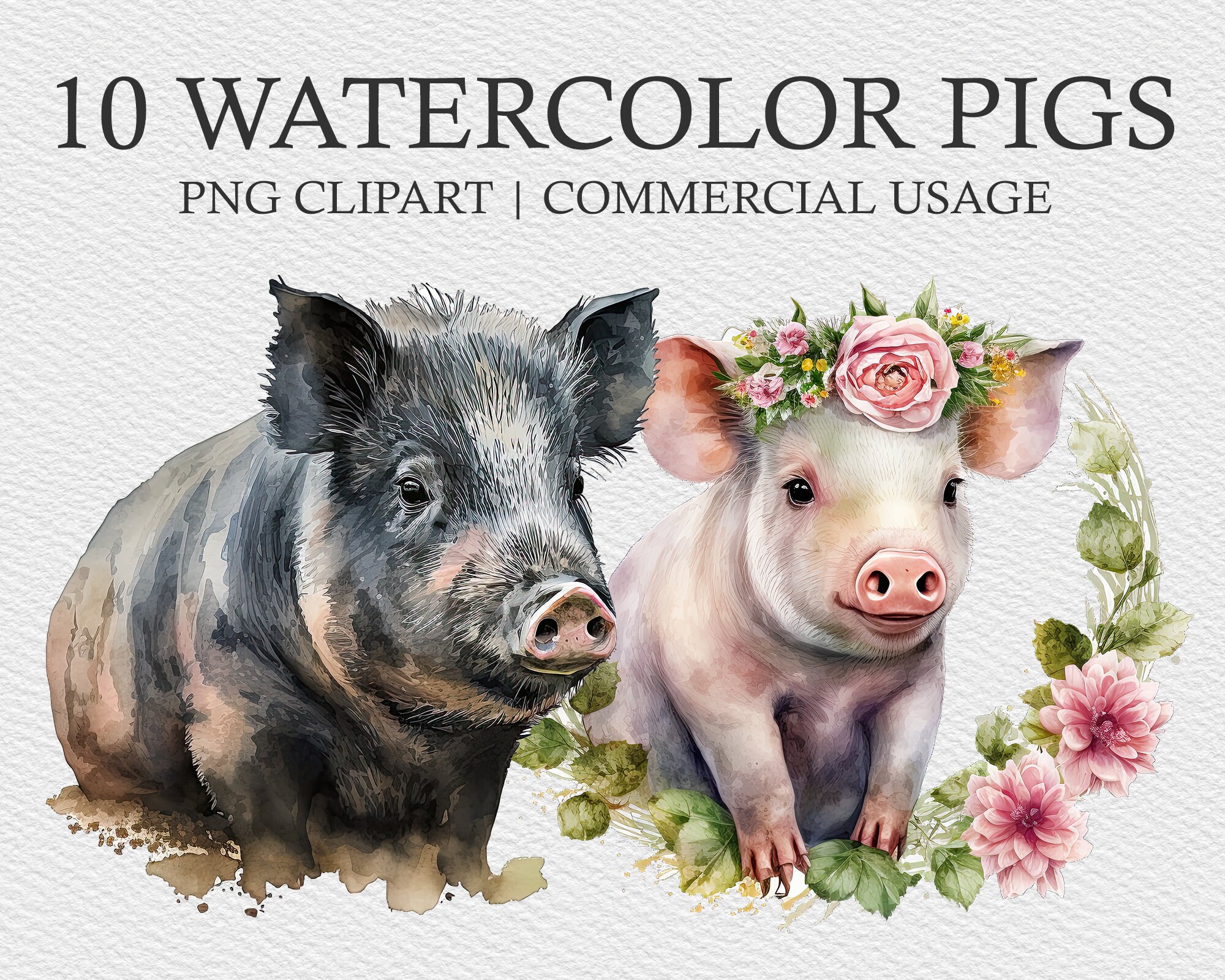 10 Pig Watercolor Clipart Files, Pigs Clipart, Piglets Bundle PNG, Pig ...