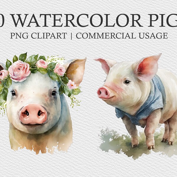Pig Watercolor - Etsy