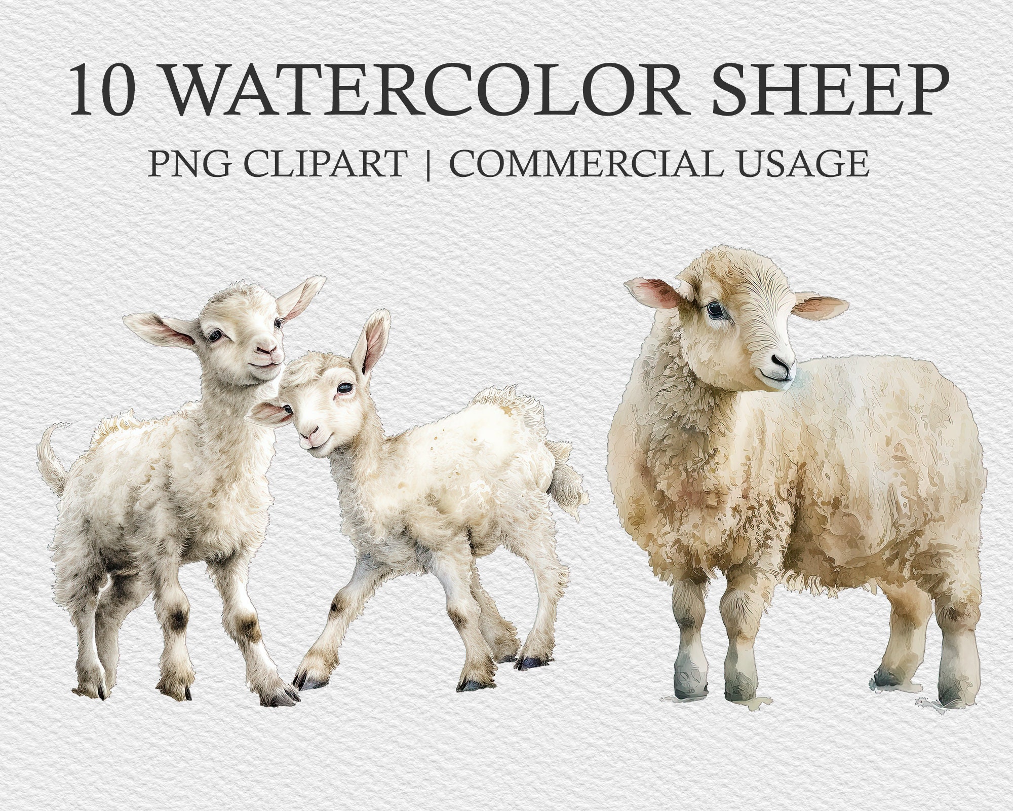 10 Sheep Watercolor Clipart Files, Lamb Clipart, Sheeps Bundle PNG ...