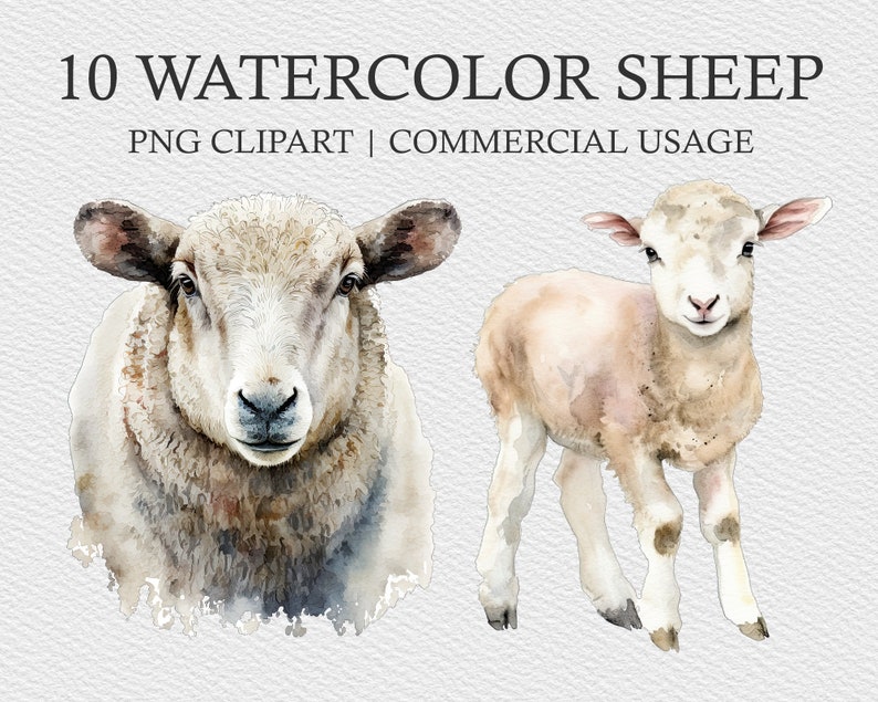 10 Sheep Watercolor Clipart Files, Lamb Clipart, Sheeps Bundle PNG ...