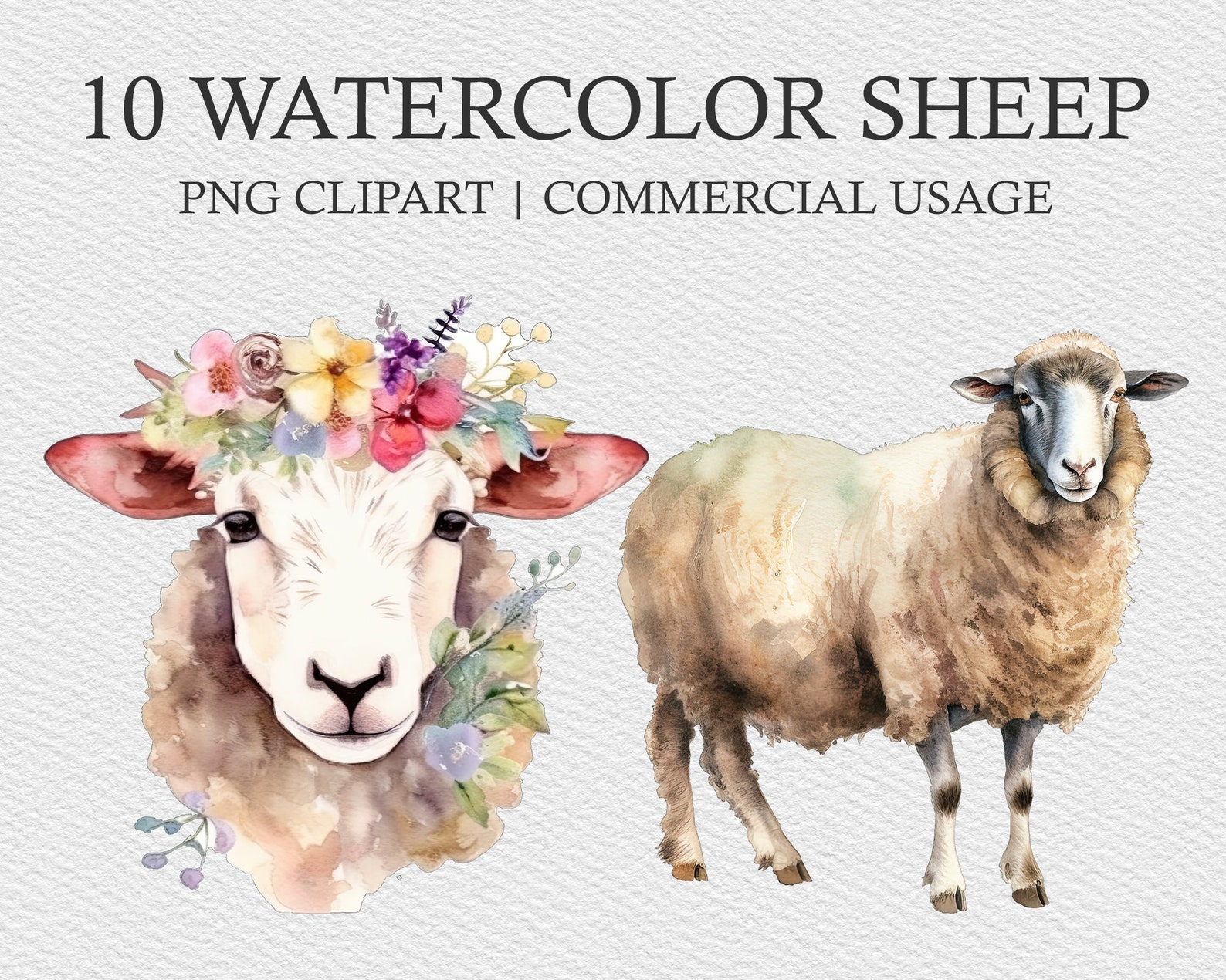 10 Sheep Watercolor Clipart Files, Lamb Clipart, Sheeps Bundle PNG ...