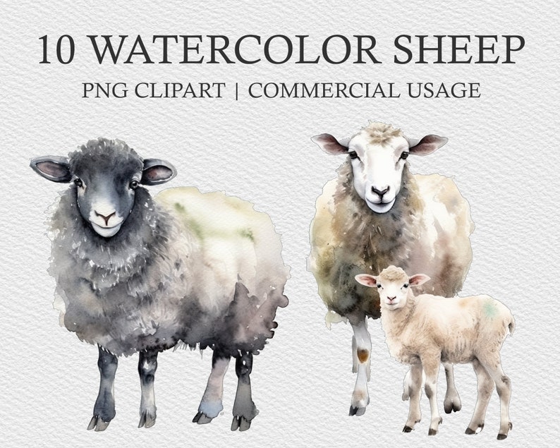 10 Sheep Watercolor Clipart Files, Lamb Clipart, Sheeps Bundle PNG ...