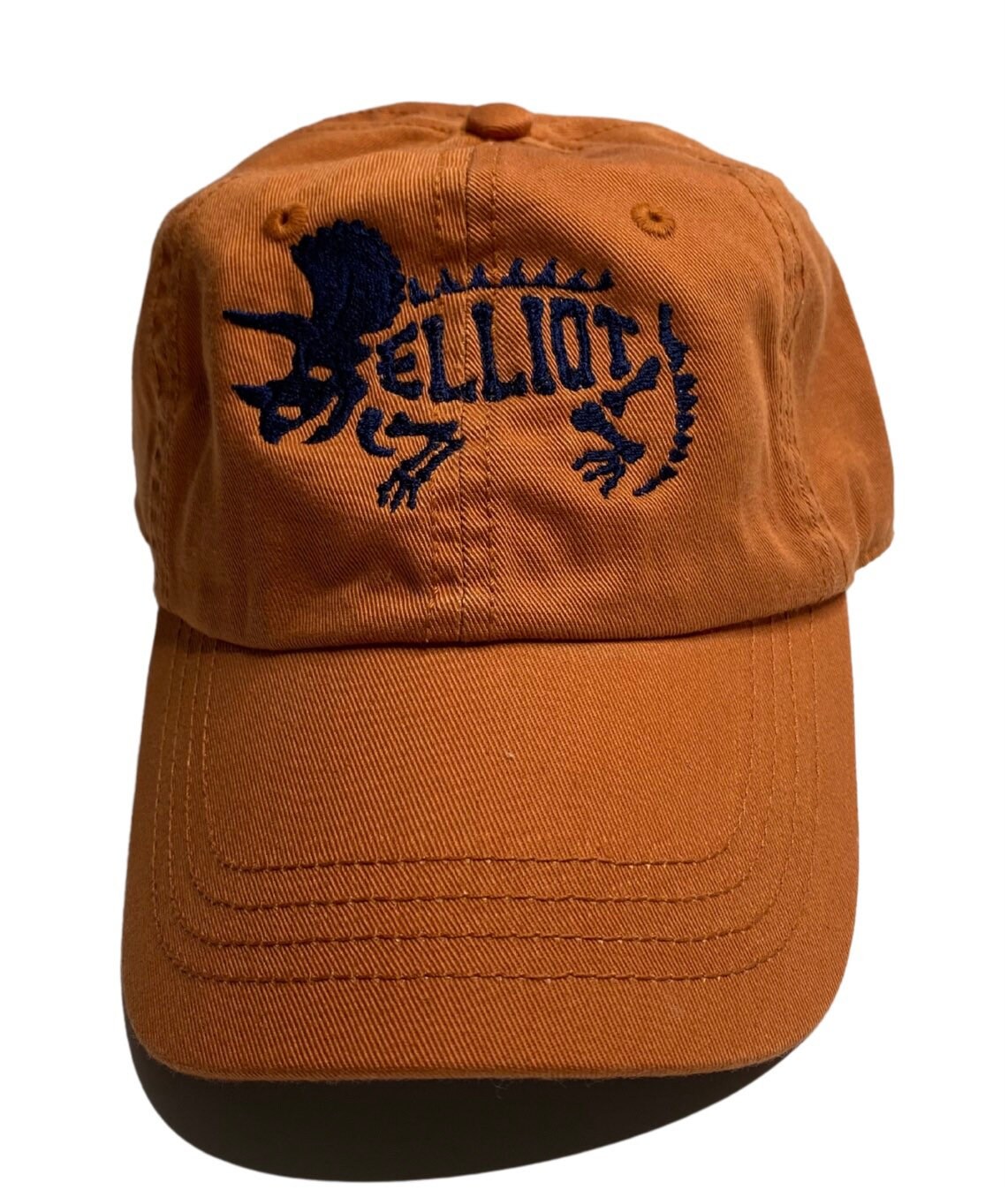 Custom Dinosaur Hat / Kids Dinosaur Hat /personalized - Etsy