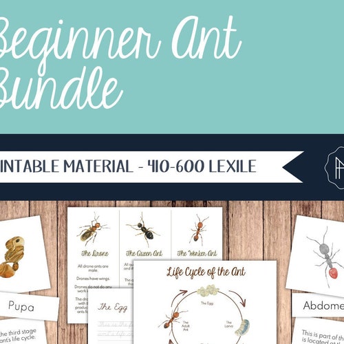 Beginner Ant Unit Life Cycle Types and Parts of the Ant - Etsy
