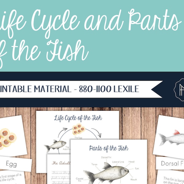 Montessori Style Fraction Fundamentals and Operations Task Cards 200 ...