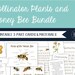 Pollinator Plants and Honey Bee Bundle - Etsy