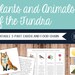 Plants and Animals of the Tundra- 3-part Cards and Food Chains - Etsy