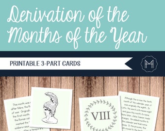 Months of the Year Elementary 3-part Cards Montessori History ...