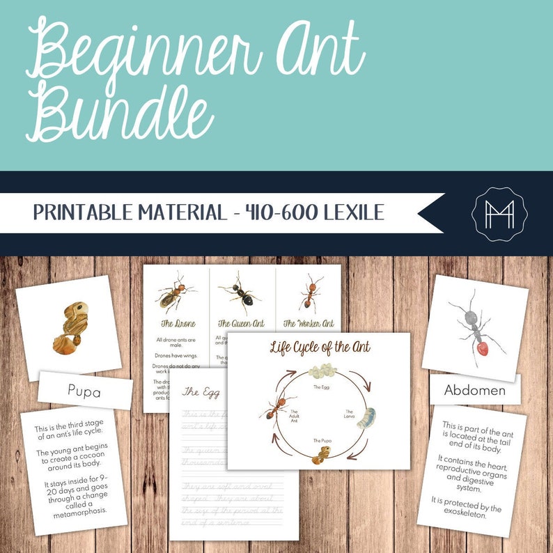 Beginner Ant Unit- Life Cycle, Types, and Parts of the Ant - Etsy