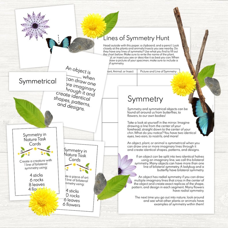 Finding Symmetry in Nature - Etsy