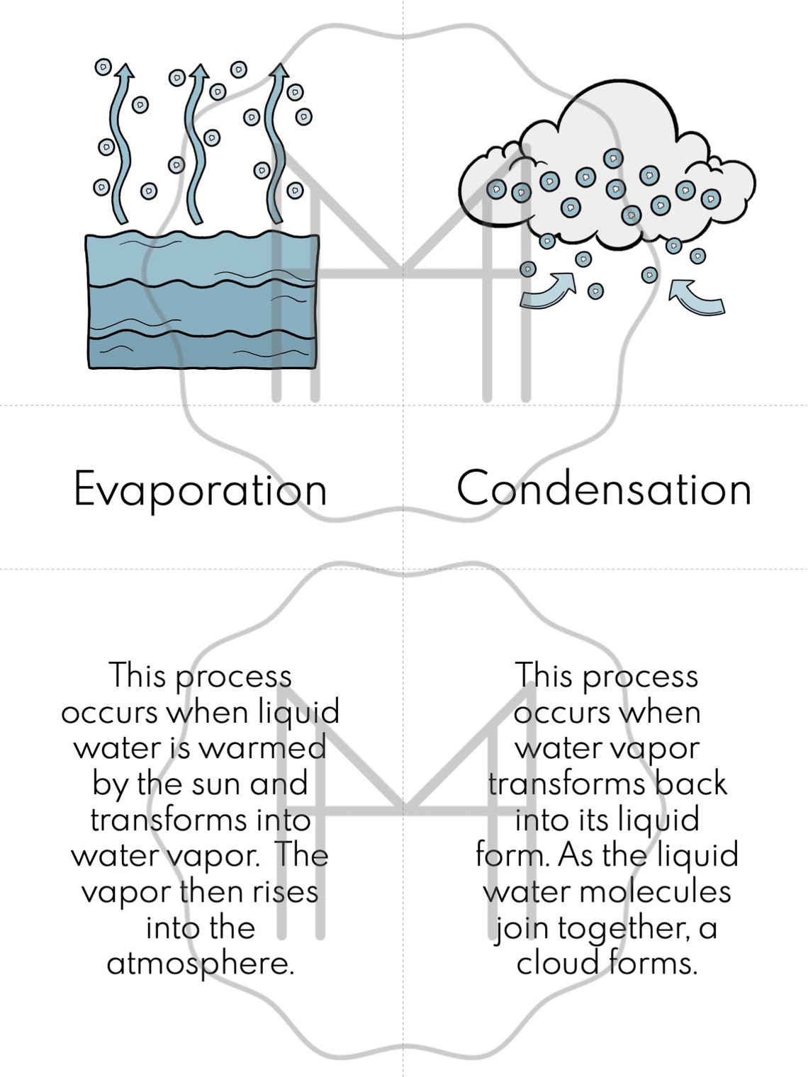 Water Cycle Materials - 3-part Cards, Posters, Sorts, and More! - Etsy