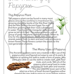 The History of Paper- Timeline, Reading Passages, DIY and More! - Etsy