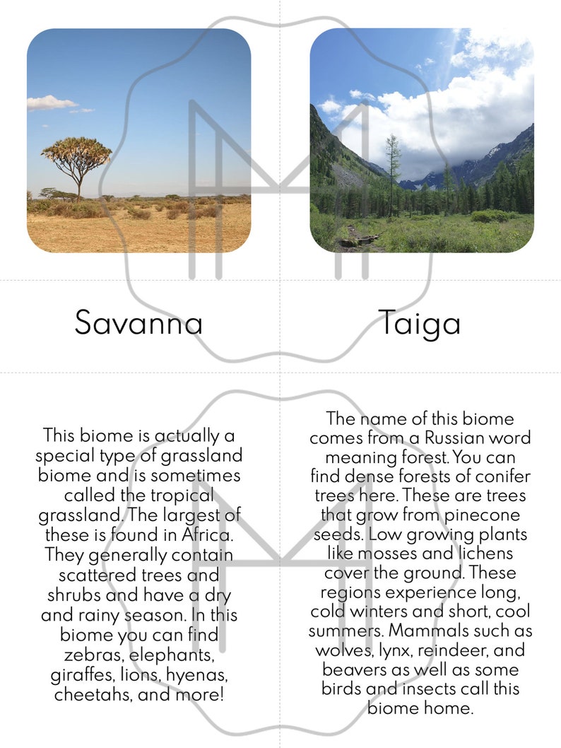 Climate and Biome 3-part Cards Posters and Research Guide - Etsy