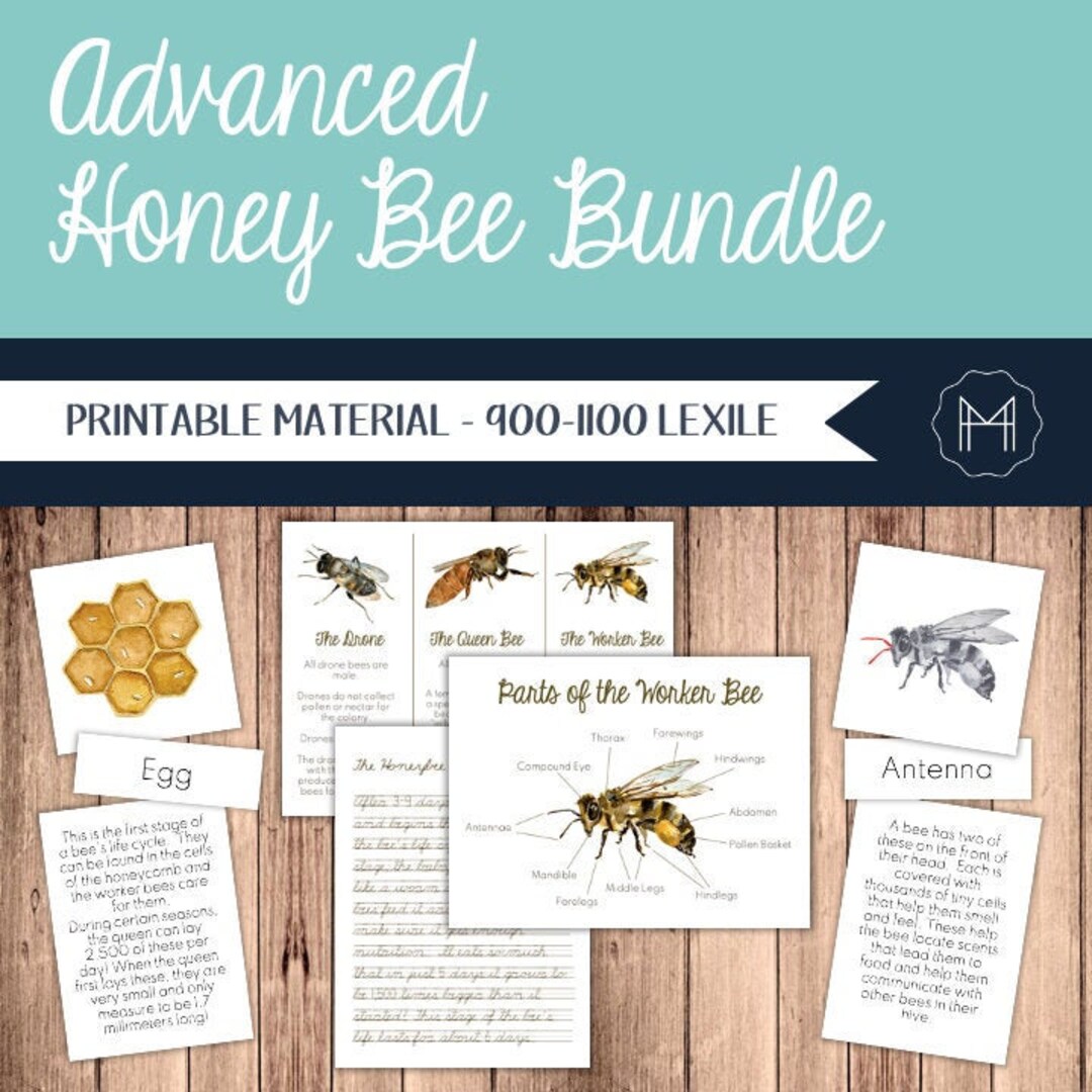 Study of the Honey Bee Unit 3rd-5th Grade - Etsy