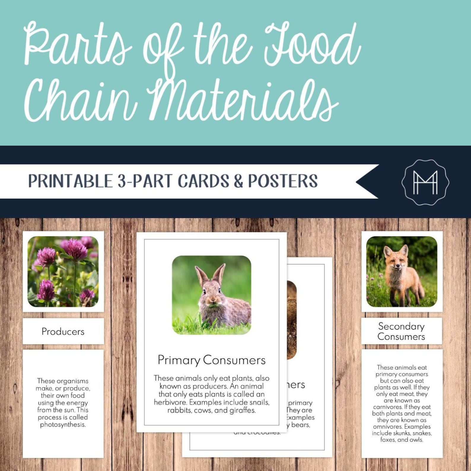 Parts of the Food Chain 3-part Cards and Posters - Etsy
