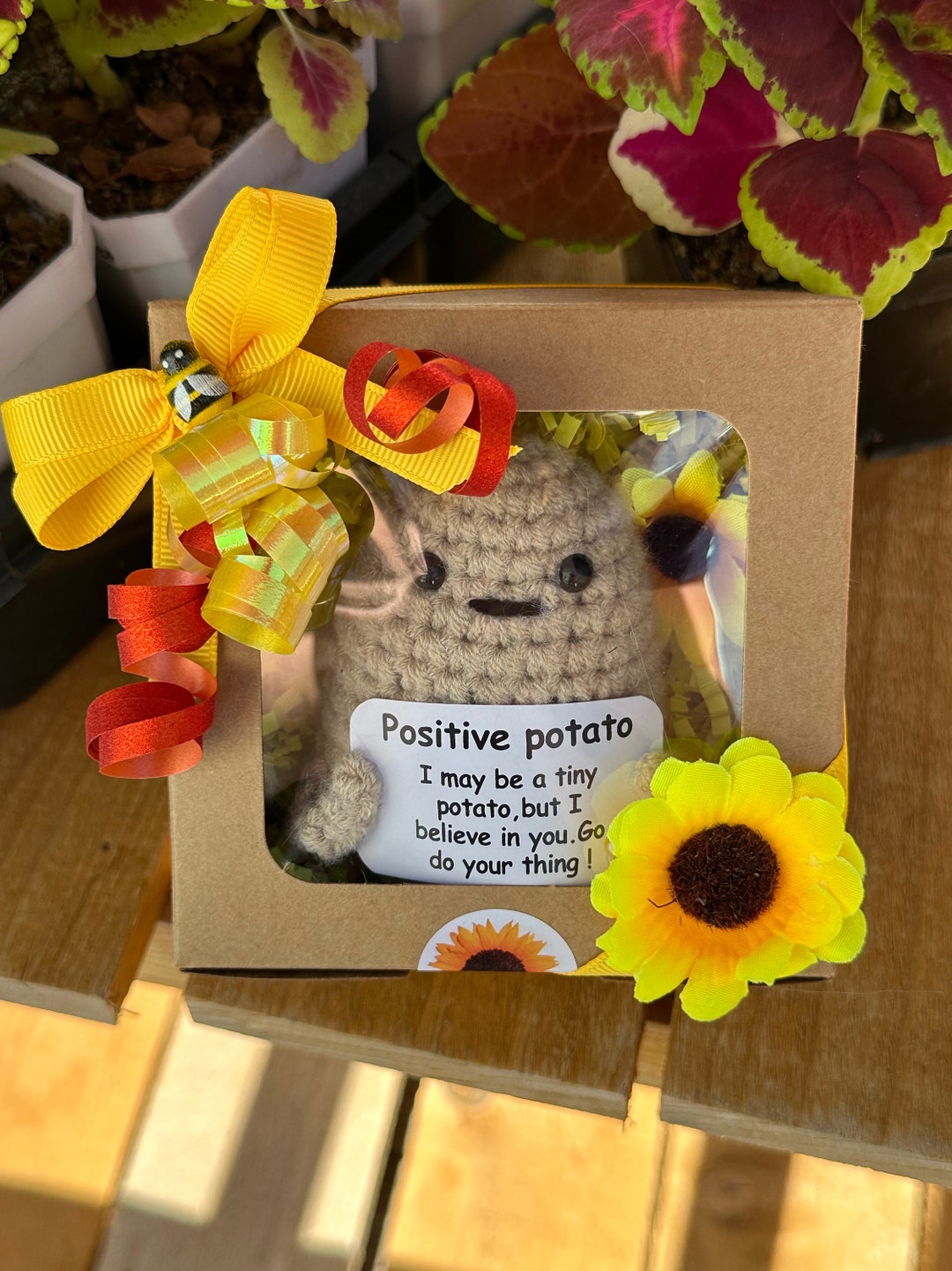 Sunflower Bee Positive Potato Gift Box Mom Birthday Thinking of You ...
