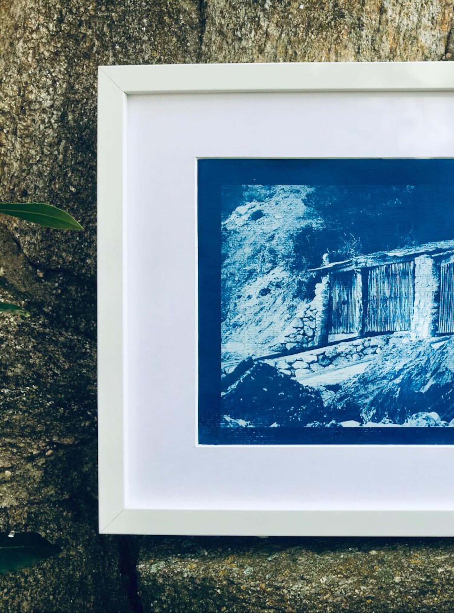 Cyanotype original, impression originale de cyanotype, art unique, mer ...