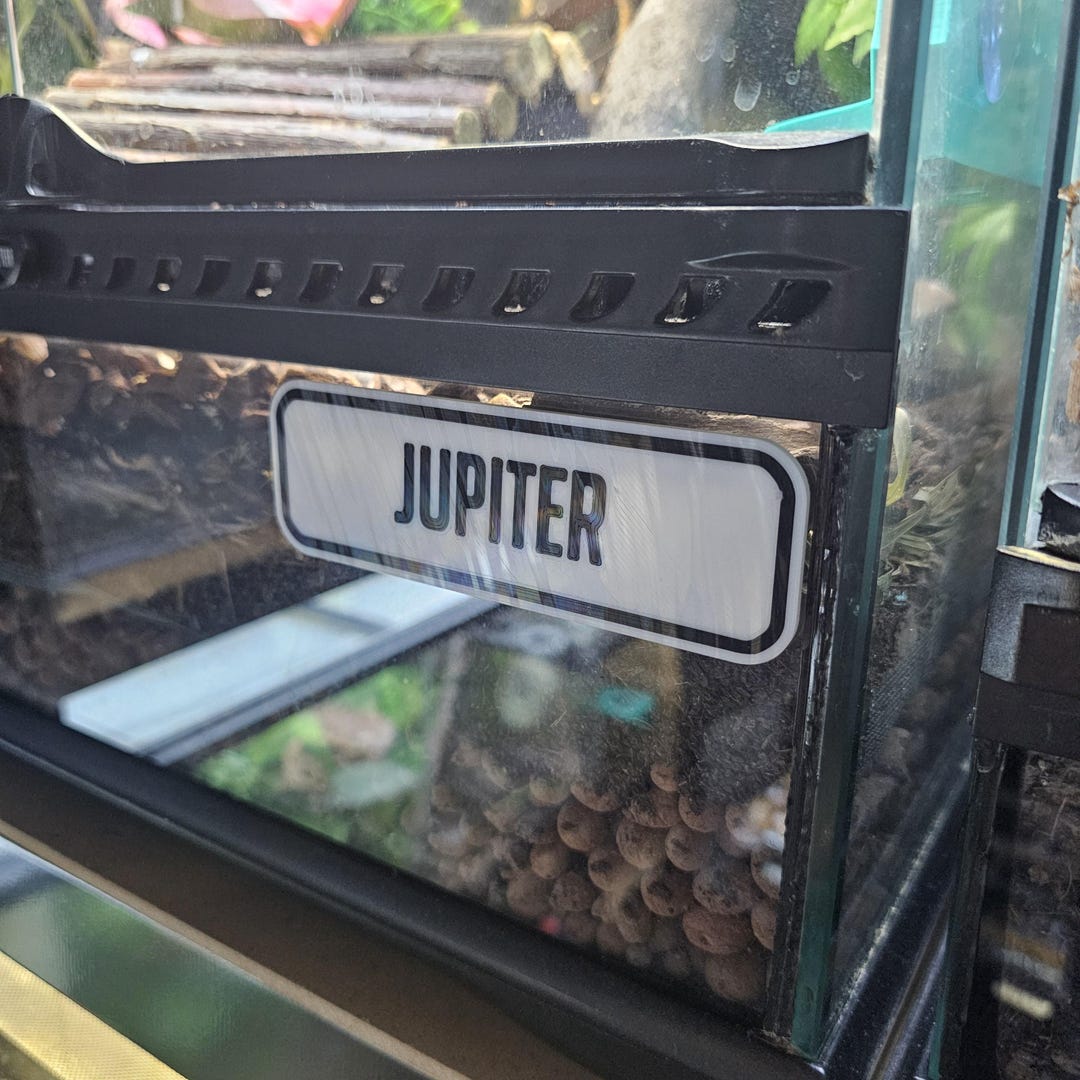 Custom 3D Printed Pet Name Plate – Personalized for Vivariums ...
