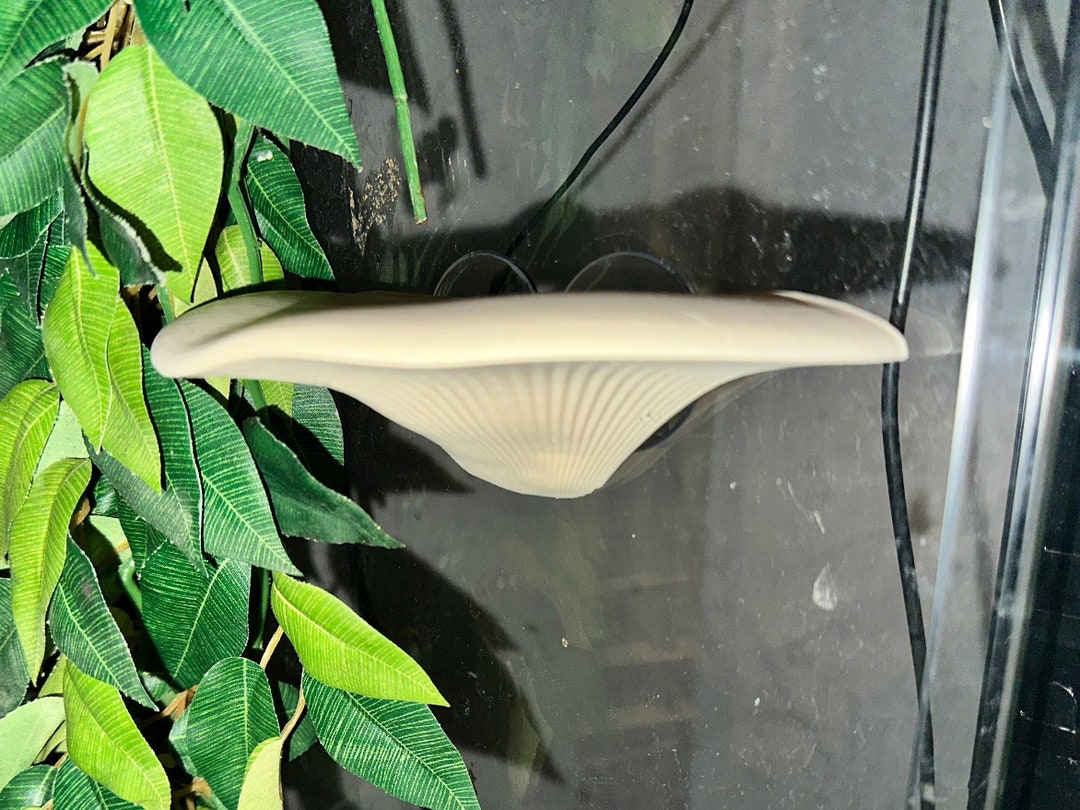 Mushroom Ledge for Arboreal Reptiles, Crested Gecko / Tree Frog 140mm ...