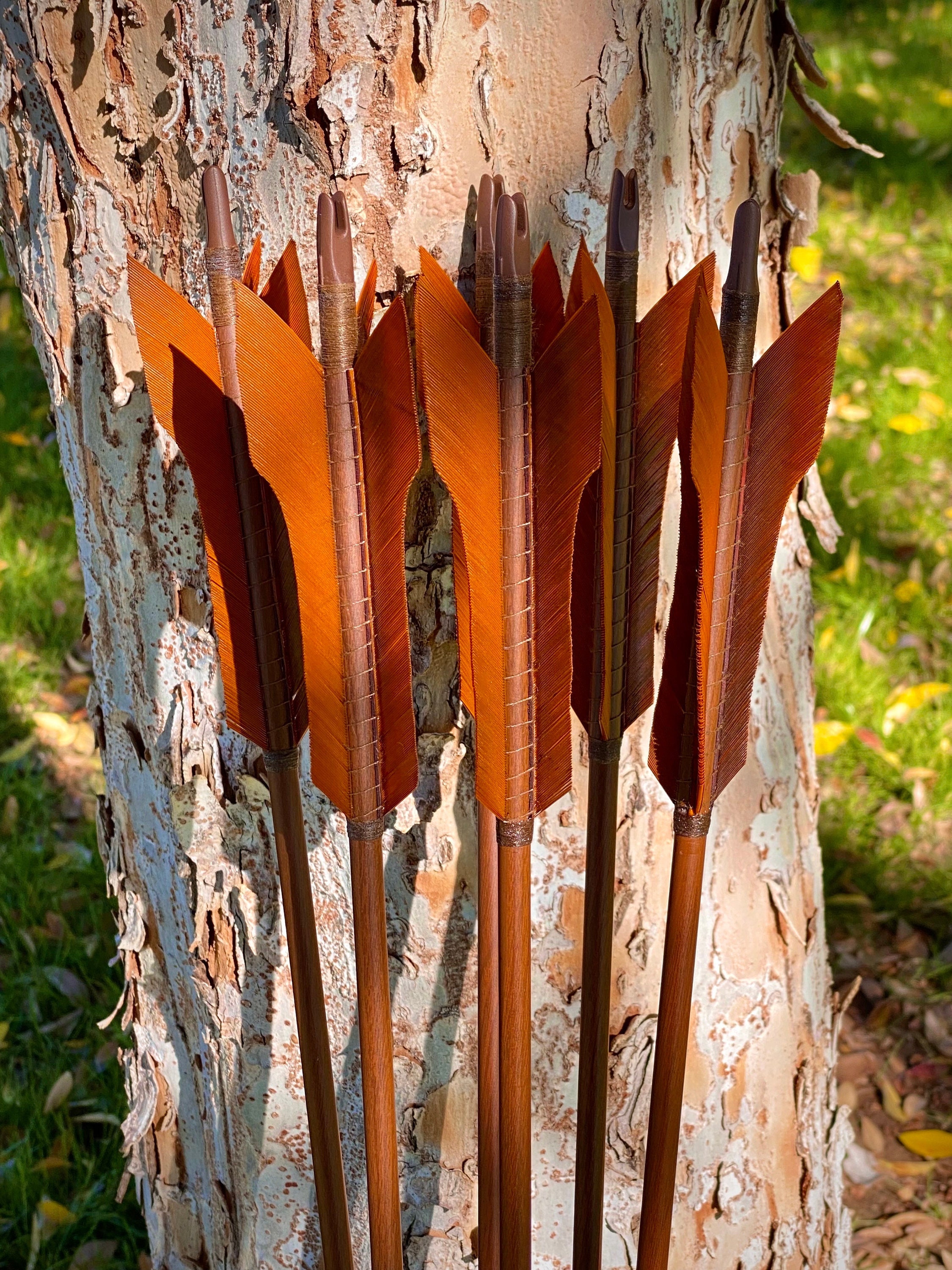 Elven Arrows of Greenleaf Fully Functional Arrows for Archery or ...