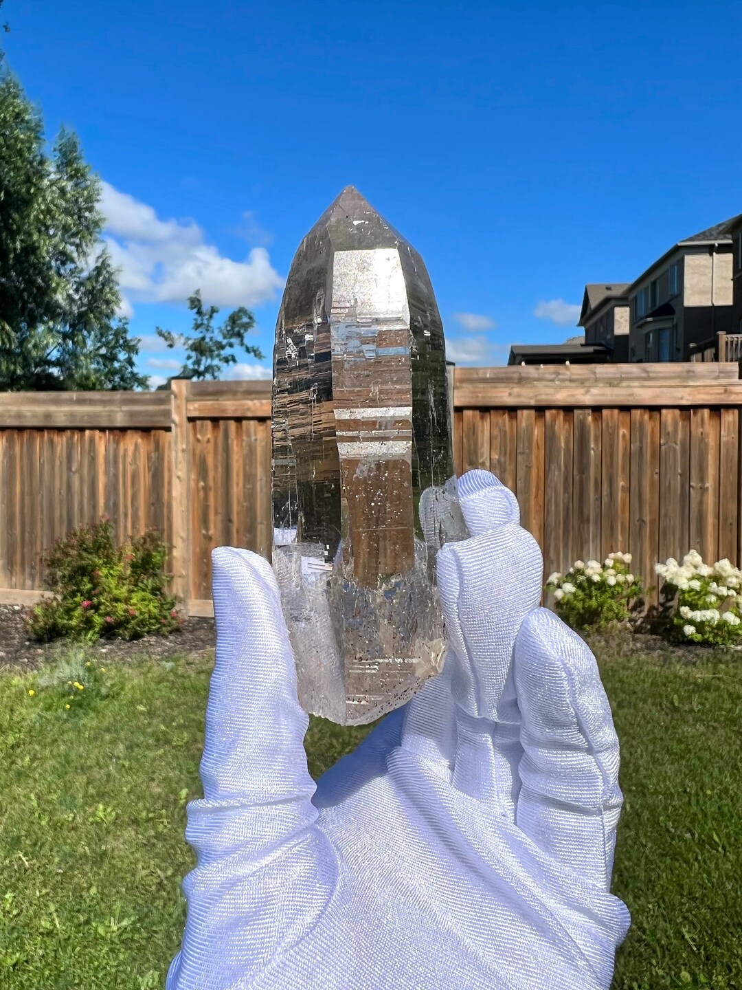 Light Smoky Himalayan Quartz With Self Healed Roots and Hidden Blue ...