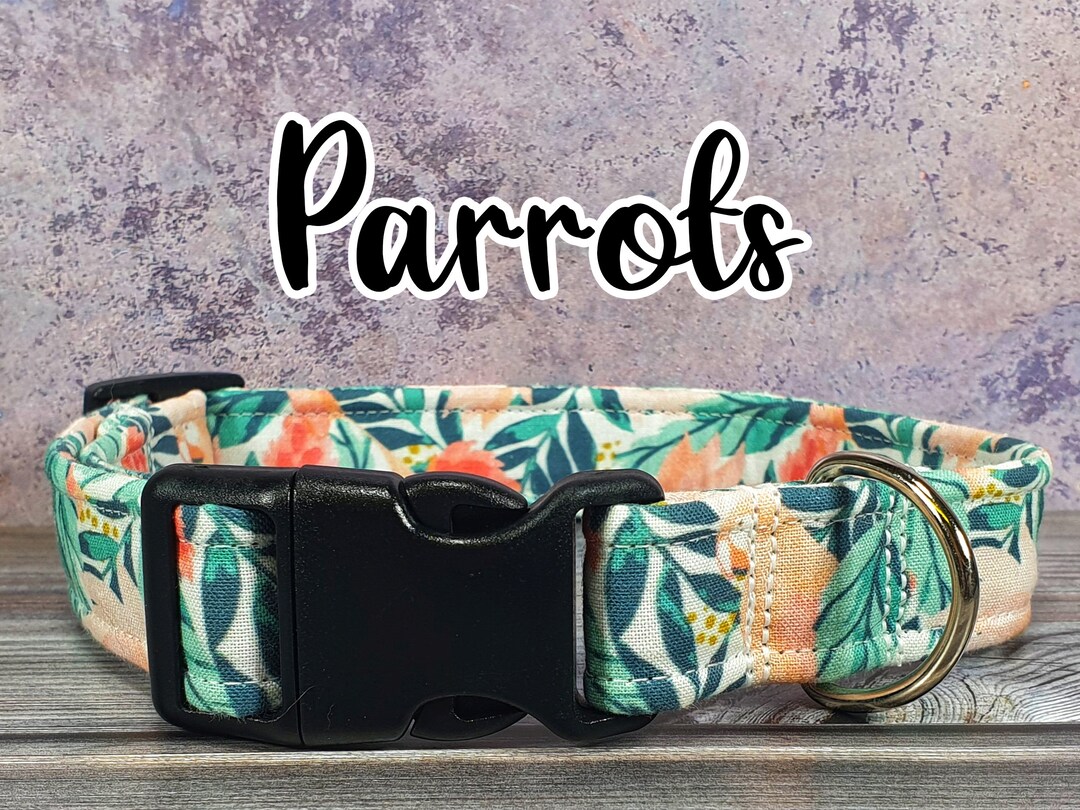 Parrot Dog Collar | Adjustable | Metal Buckle | Plastic Side Release ...