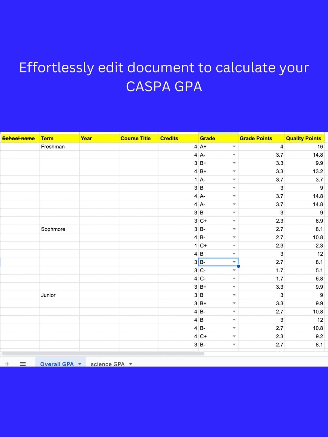 CASPA GPA Calculator for PA School || Google Sheets, Template, Edit - Etsy