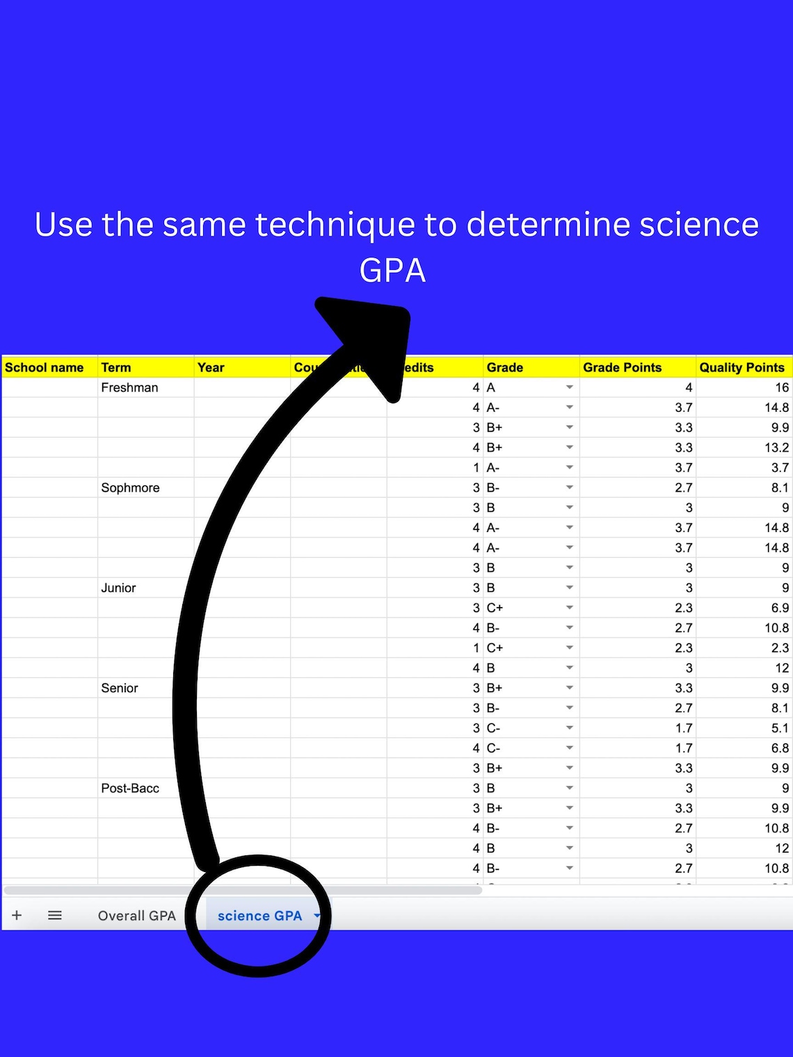 CASPA GPA Calculator for PA School || Google Sheets, Template, Edit - Etsy