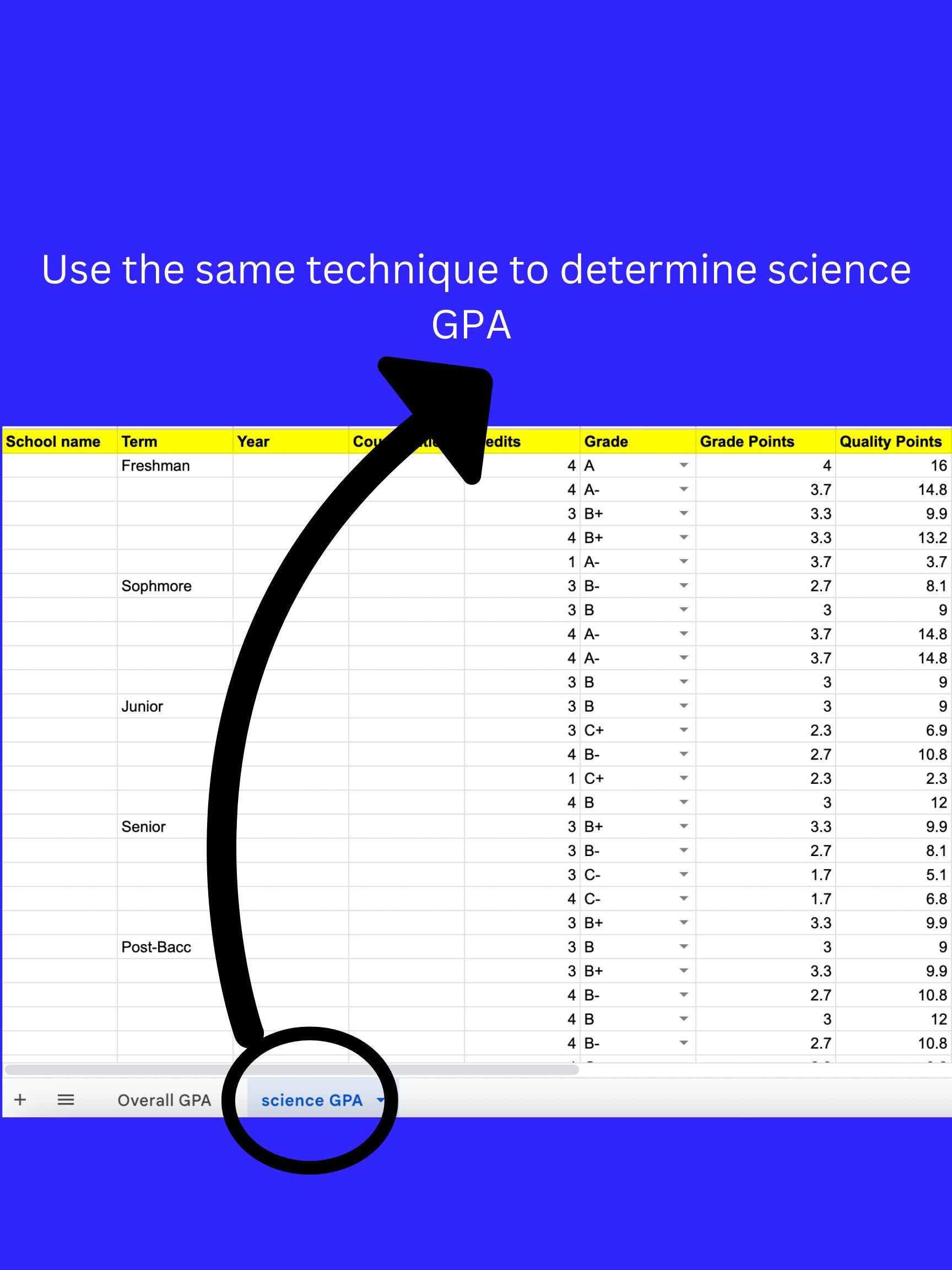 CASPA GPA Calculator for PA School || Google Sheets, Template, Edit - Etsy