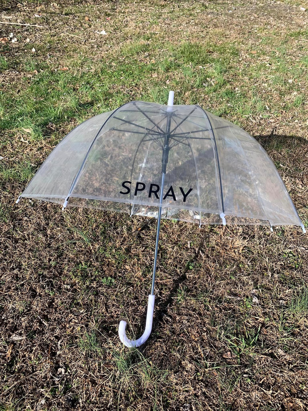Personalized Clear Dome Umbrella, Custom Umbrella With Name, Sorority ...