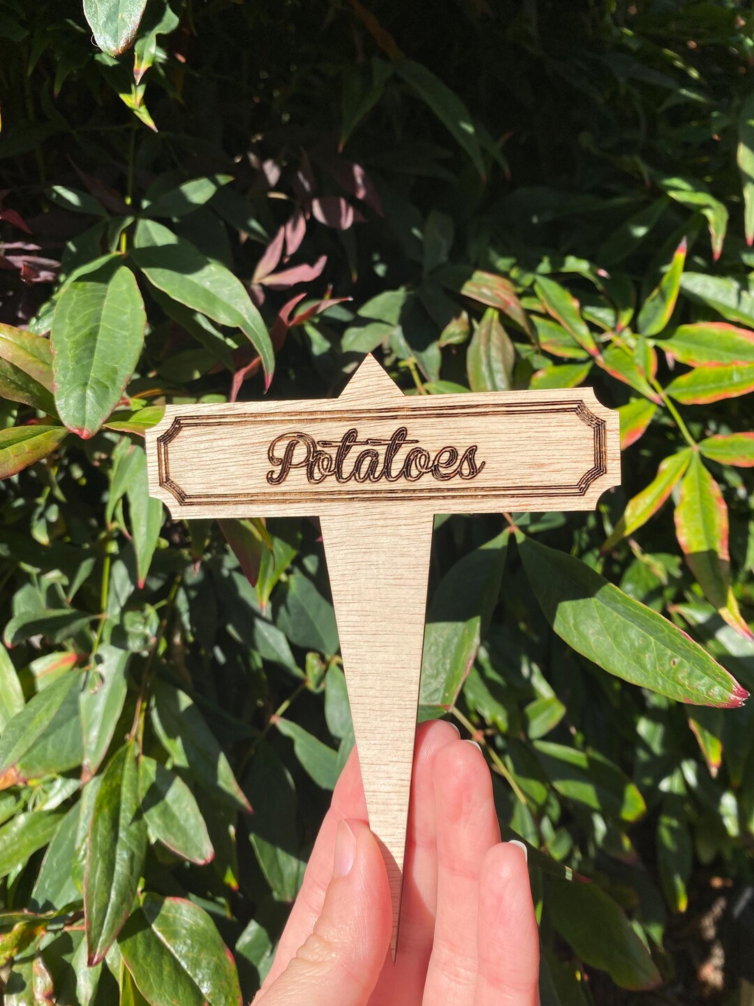 Vegetable Patch Labels, Vegetable Plant Signs, Allotment Patch Signs ...