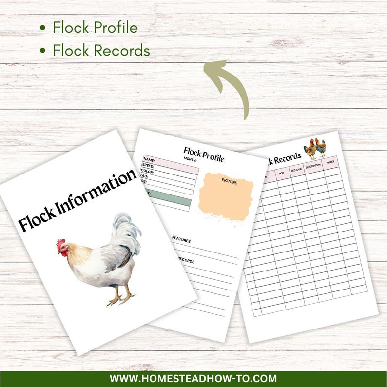 Chicken Record Keeping Log| Chicken Keeping Printables | Backyard ...