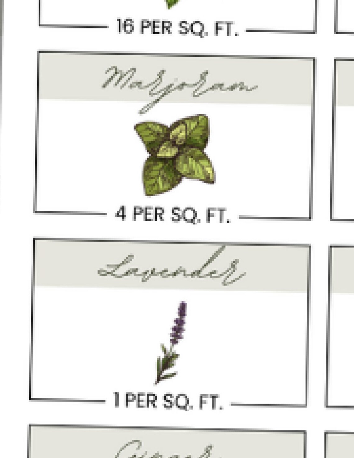 Herb Garden Plant Spacing Guide, Gardening PDF Planner, Plant Spacing ...