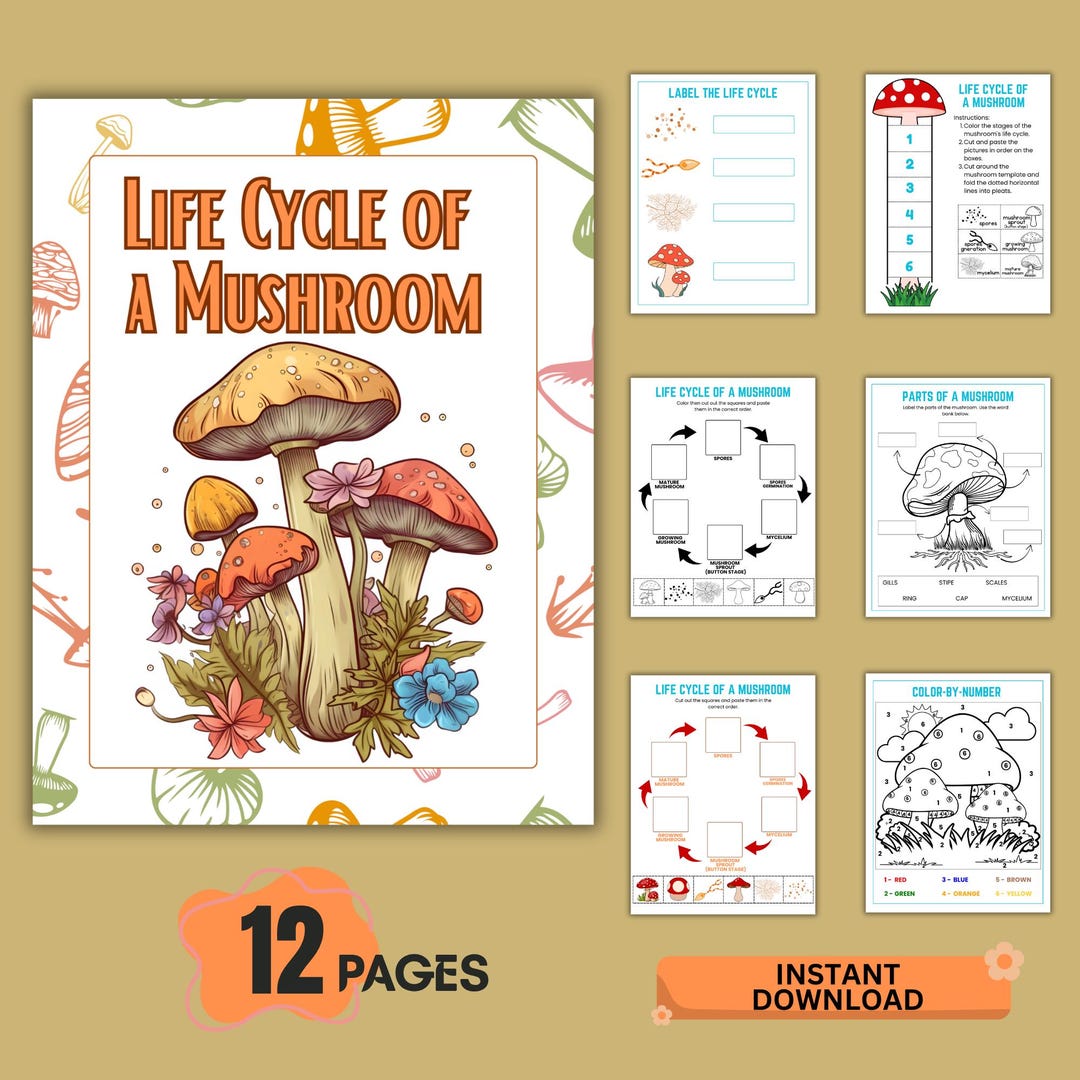 Life Cycle of a Mushroom Worksheet PDF, Science Activities for Kids ...