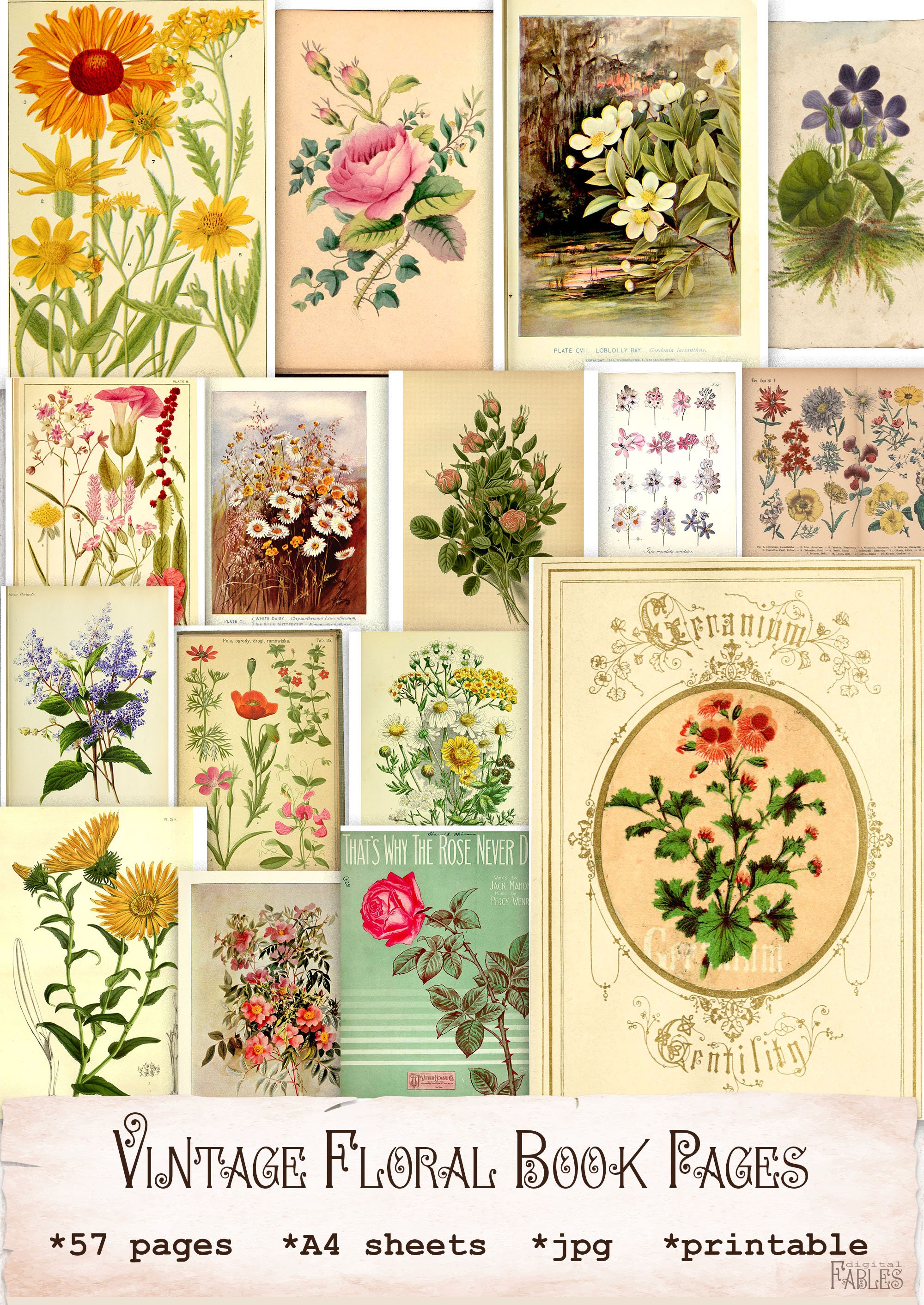 Vintage Floral Book Pages, Printable Botanical Nature Ephemera, Junk ...