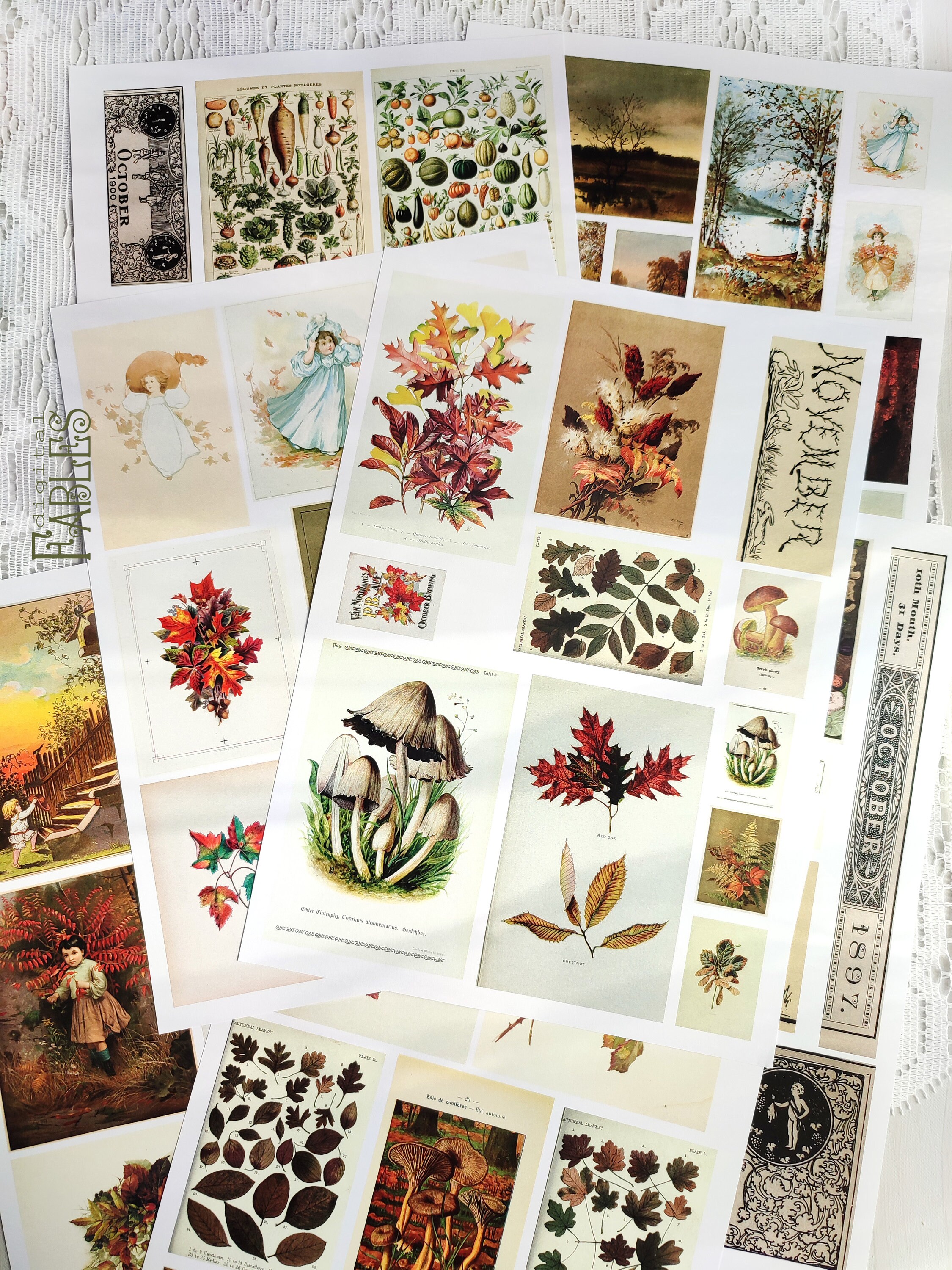 Printable Autumn Images Digital Kit Fall Landscapes Leaves - Etsy