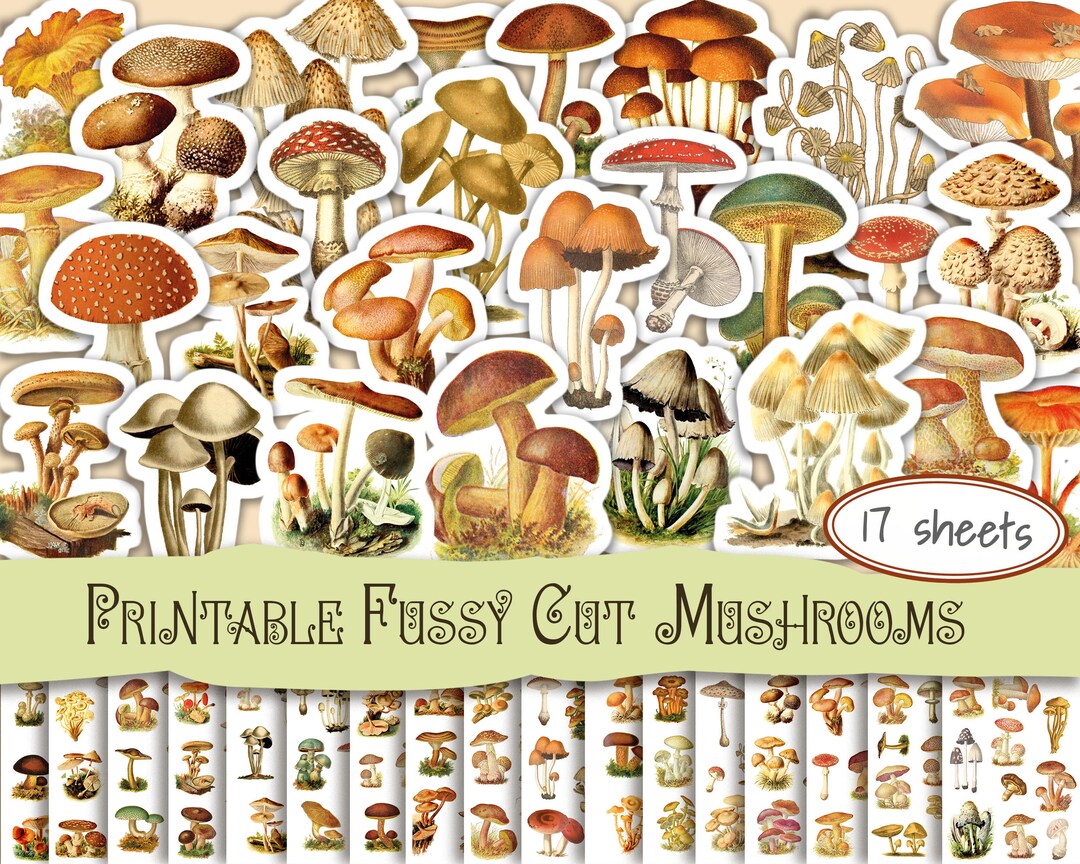 Fussy Cut Mushrooms Images, Vintage Nature Ephemera, Printable Download ...