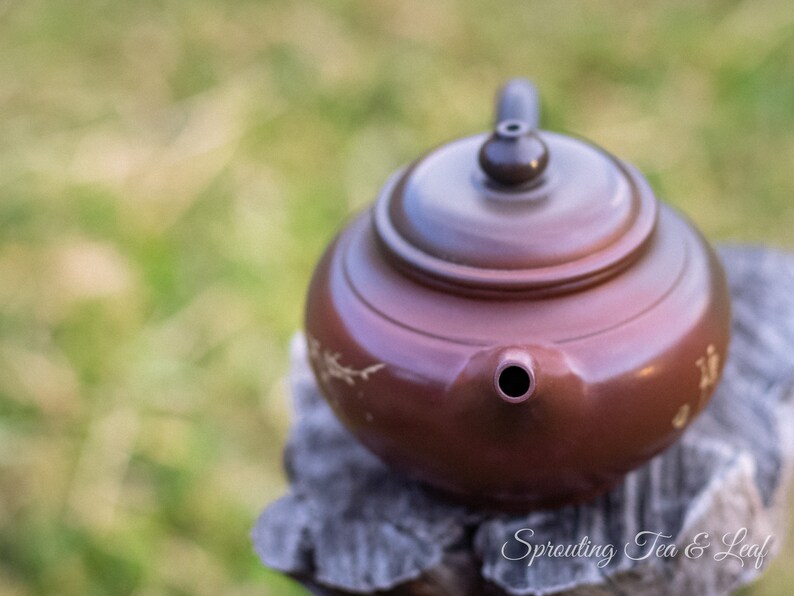 Lotus Seedpod & Fish Calm the Mind Handmade Nixing Tea Pot - Etsy
