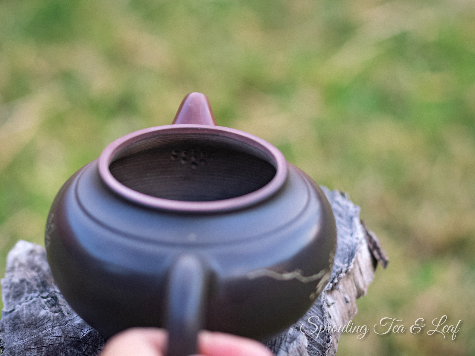 Lotus Seedpod & Fish Calm the Mind Handmade Nixing Tea Pot - Etsy