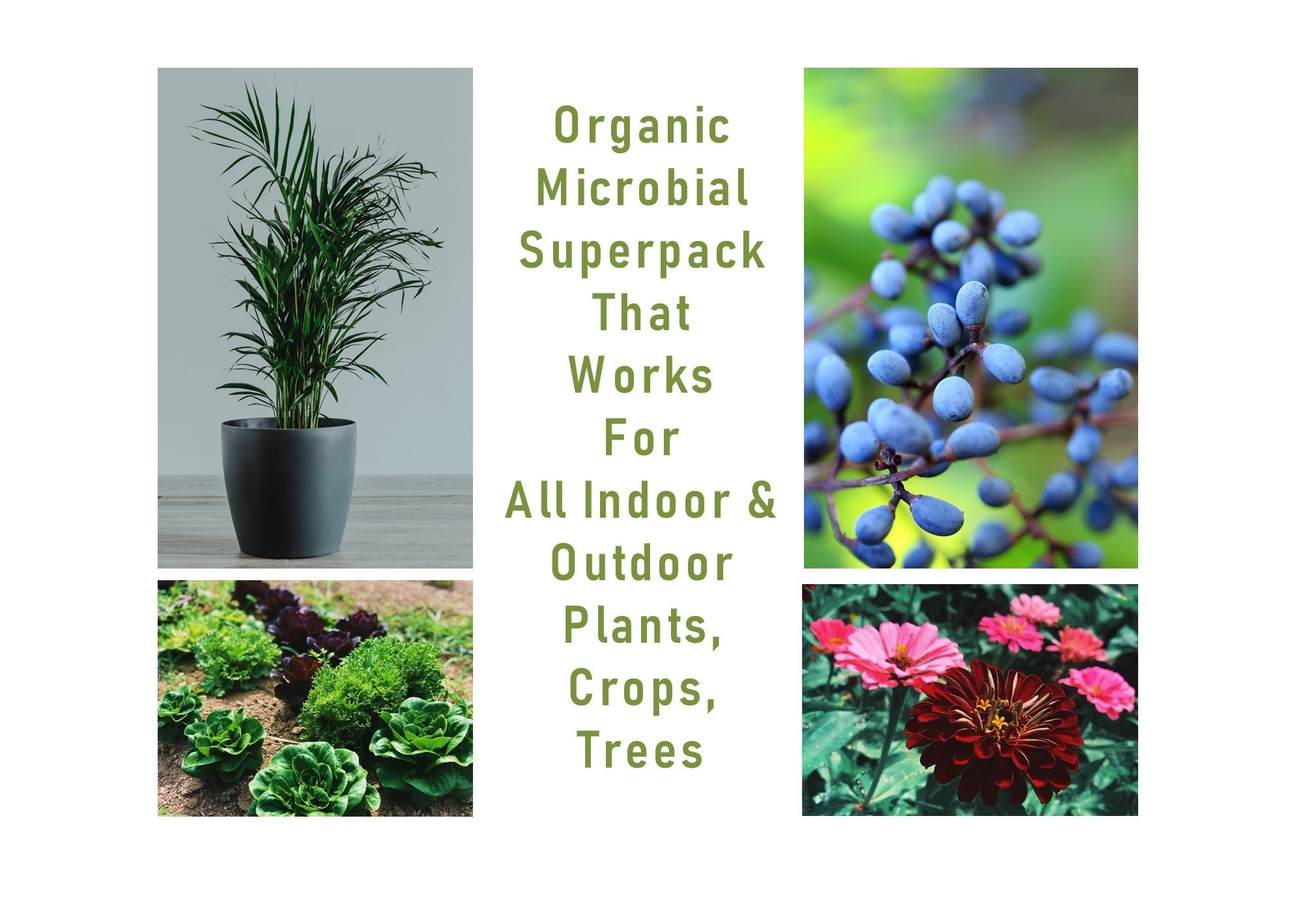 Mikrobs - Microbial Superpack. Organic Growth Stimulant. Revitalize ...