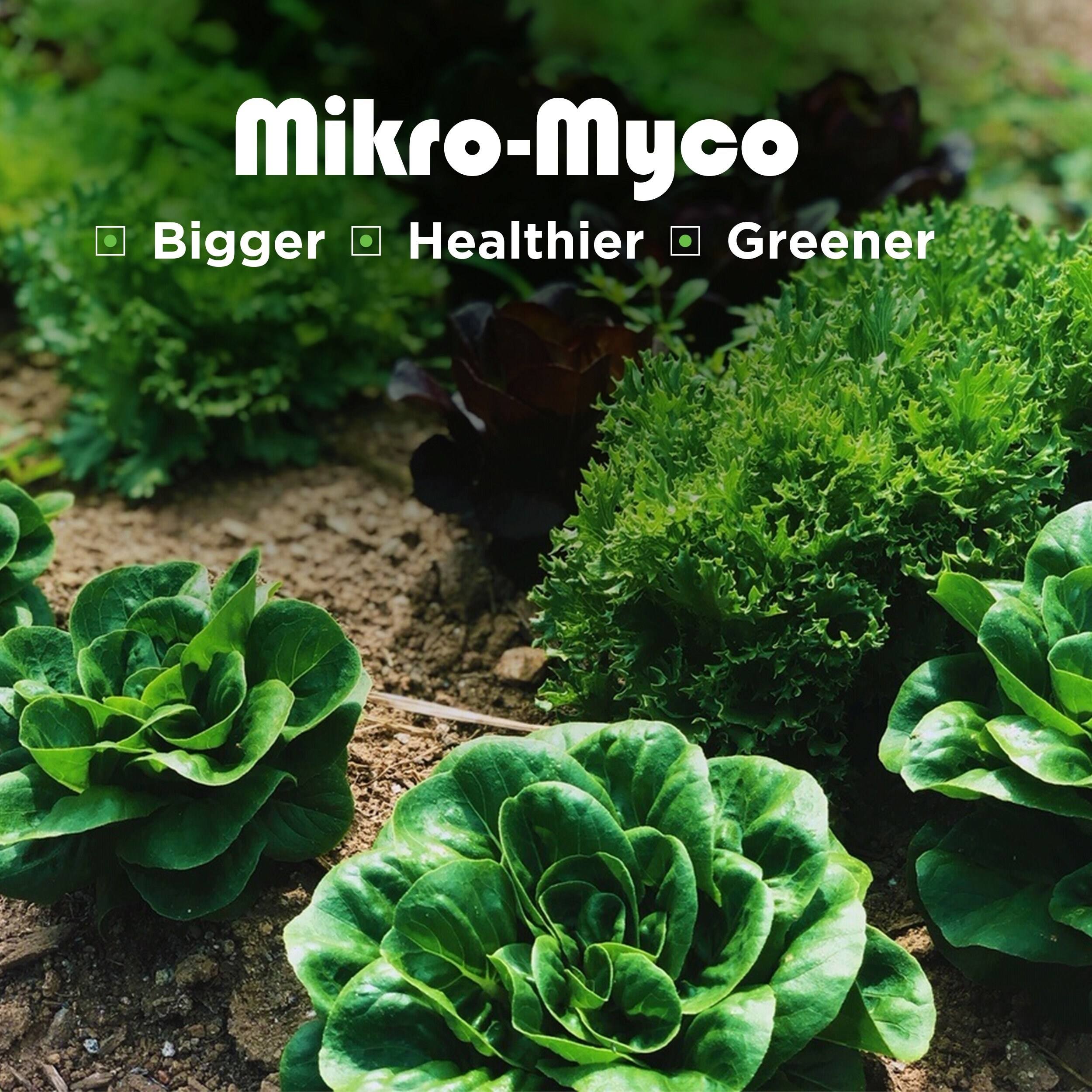 Mikro-myco, Highly Concentrated Mycorrhizal Fungi –11 Endo/ecto ...