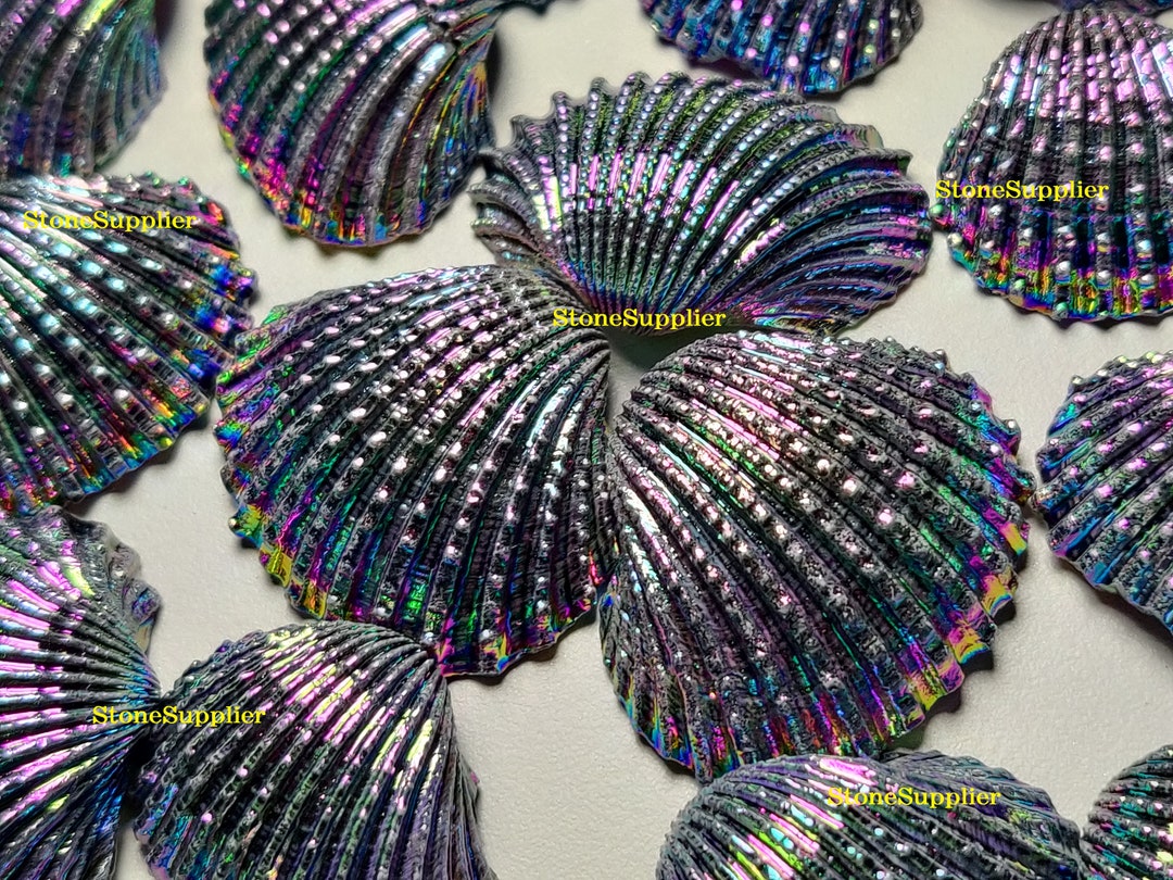 Aura Titanium Coated Shell Wholesale Prices Titanium Coated Shells ...