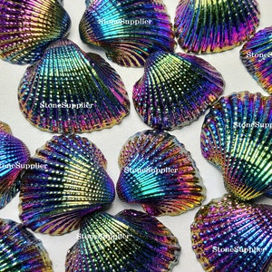 Aura Titanium Coated Shell Wholesale Prices Titanium Coated Shells ...