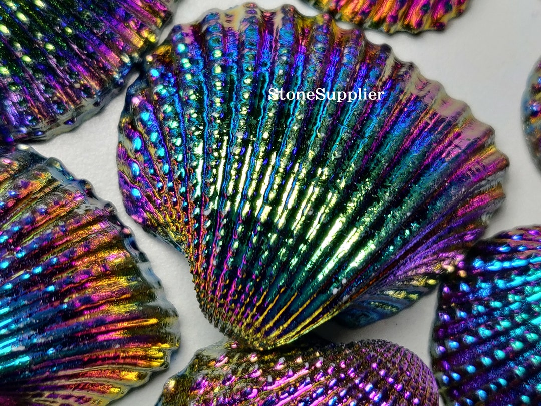 Aura Titanium Coated Shell Wholesale Prices Titanium Coated Shells ...